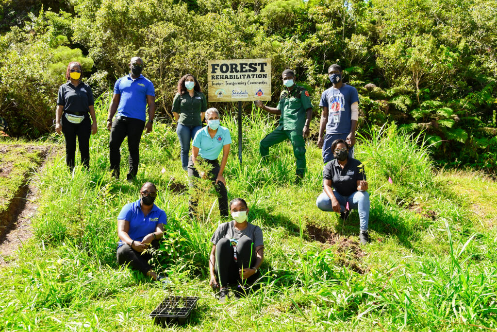 Sandals Foundation Expanded Tree Planting Mission Further Strengthens ...